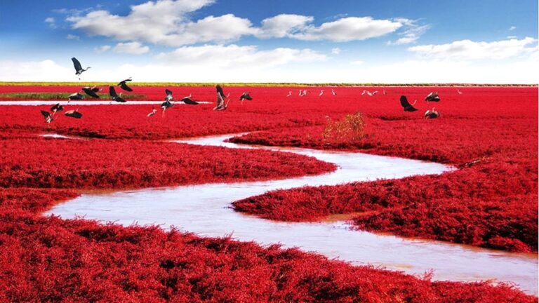 20 seriously weird places around the world