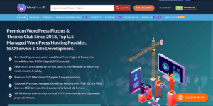 WPlocker Review: Why Not Use It In 2025 and Alternatives